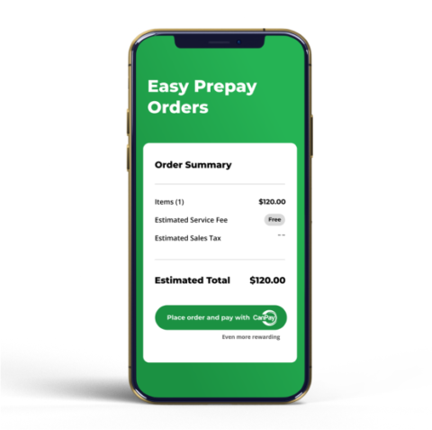 CanPay Debit App